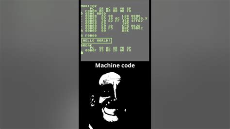 people who code in assembly💀💀💀 codingjourney bhaiyajidsa