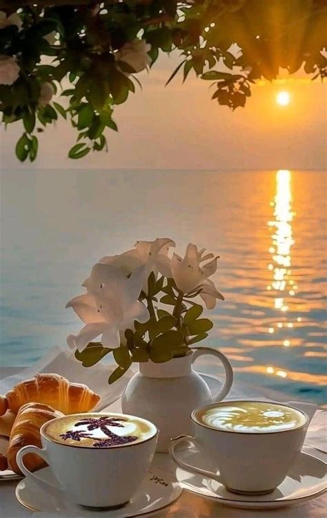 Pin By Ibtsam On Coffee وبحر Beautiful Flowers Good Morning Flowers