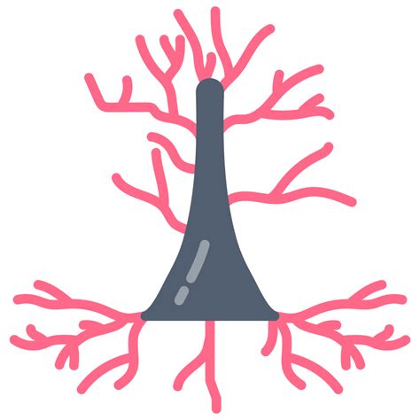 Pyramidal Cell Brain Nerve Dendrites Icon Download On Iconfinder