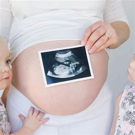 Pregnant Belly Progression Twins