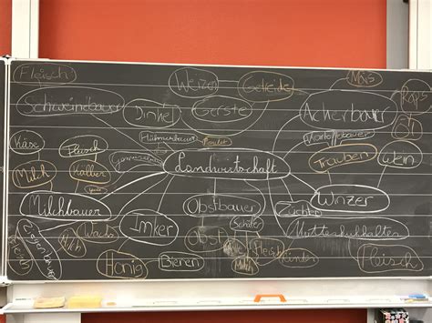 Leader · Fro De Bauer