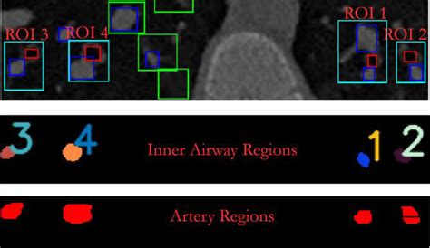 Plotting The Constructed Coordinates For Inner Airway And Outer Artery