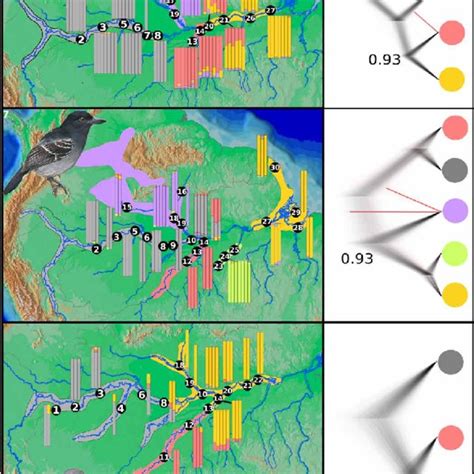 Geographic Distribution Population Structure And Species Tree Of