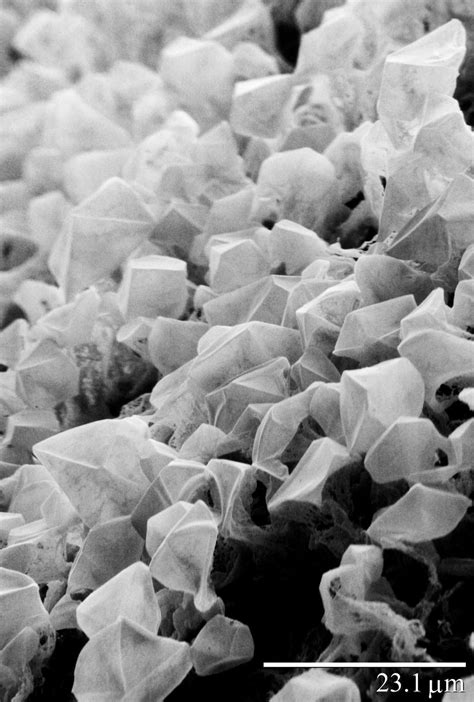 14 Striking Photos Of Snow Under An Electron Microscope