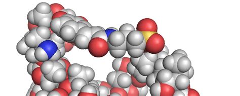 Carbohydrate Molecule Model