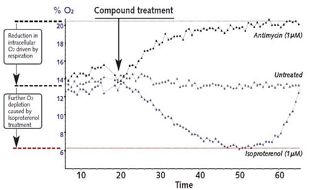 Intracellular Oxygen Concentration Assay Ab197245 アブカム