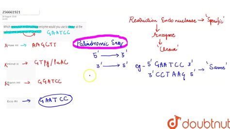Which Restriction Endonuclease Enzyme Would You Use To Cleave At The