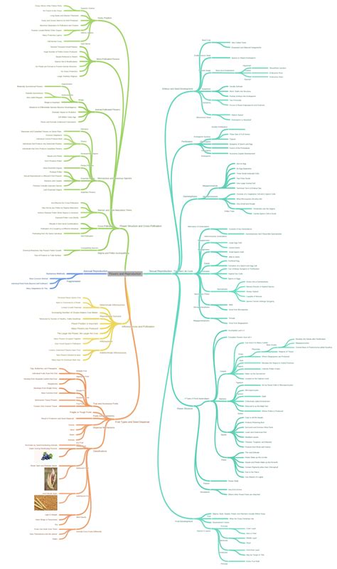Flowers And Reproduction Inflorescences And Pollination Determinate