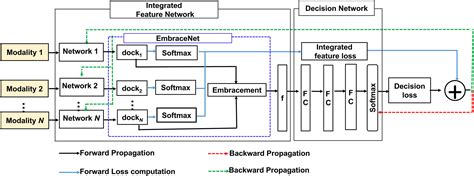 Deep learning‐based multimodal fusion network for segmentation and classification of breast ...