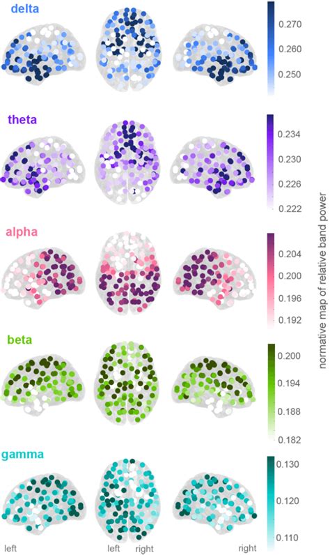 Normative Band Power Varies Across Regions Mean Relative Band Power In
