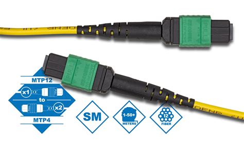 12 Fiber Mtp To 2x Mtp 4 Os2 9125µm Single Mode Breakout Cable