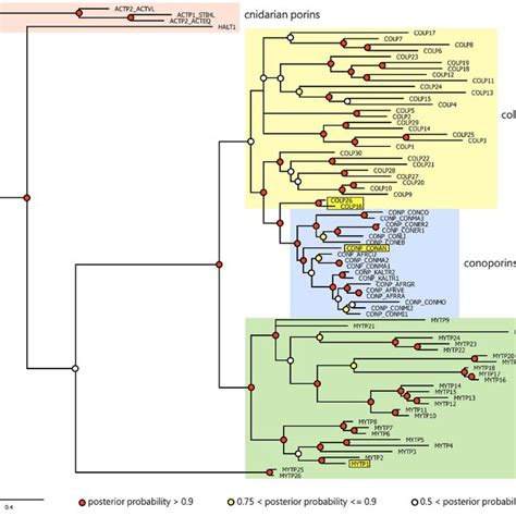 Bayesian Phylogeny Of Selected Metazoan Porins Characterized By The