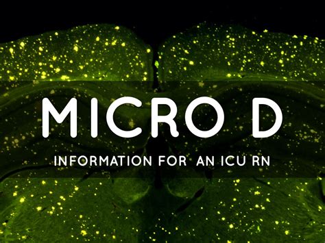 So You Want To Use A Microdialysis Machine By