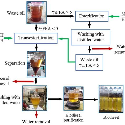 Flow Chart Diagram Of Biodiesel Production Download Scientific Diagram