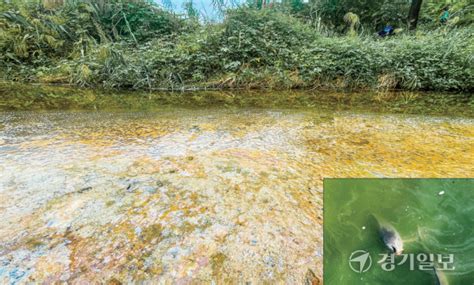 이게 뭐예油” 수원 만석공원 의문의 기름