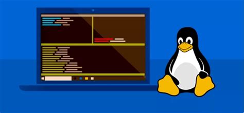 深入解析Linux系统中的 bin bash基础用途和操作指南 不念博客
