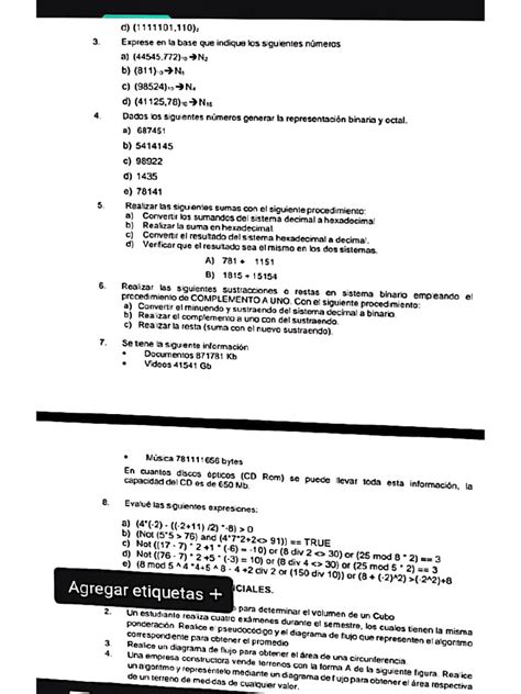 apuntes programación pdf