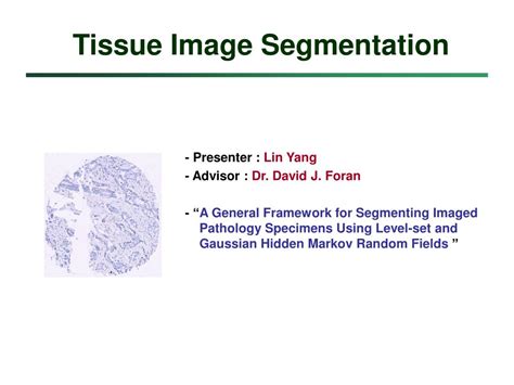 Ppt Tissue Image Segmentation Powerpoint Presentation Free Download