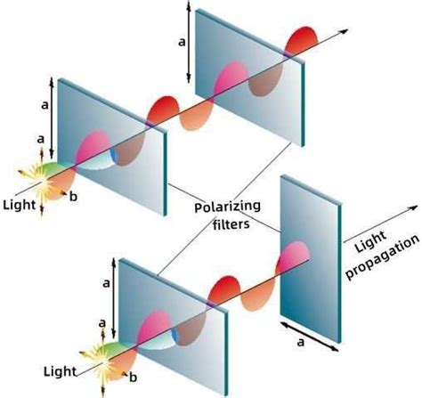 How Does The Lcd Work
