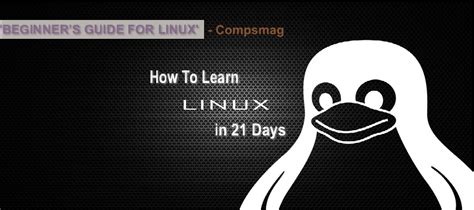 How To Learn Linux In 21 Days Easy Steps For Beginners
