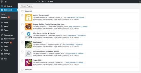 Updating Plugins And Themes