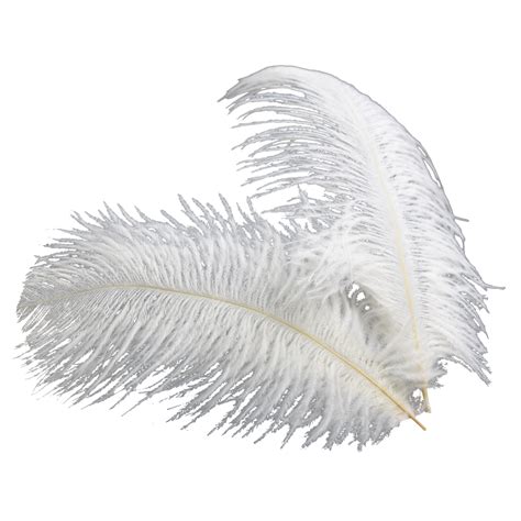Illustration With Ostrich Feather Black Silhouette Vector De Stock