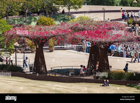 Gardens Around The The Getty Center In Los Angeles California Is A