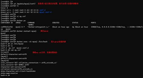 docker安装mysql详细教程， mysqld can‘t read dir of ‘ etc mysql conf d ‘（报错已解决