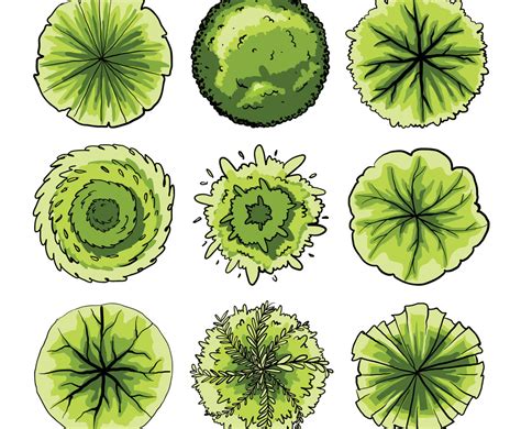 Architechture Full Colors Tree Plan Collection Vector Art And Graphics