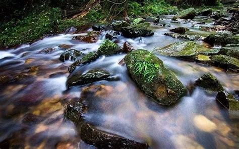 安全水与健康水的区别