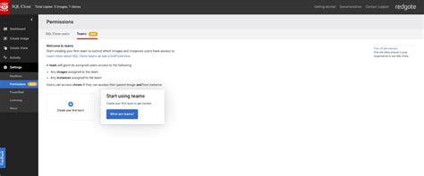 Self Service And Delegation With Sql Clone 4 Teams Redgate