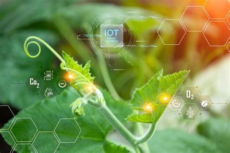 Premium Photo The Concept Of Using Ai And Smart Farming