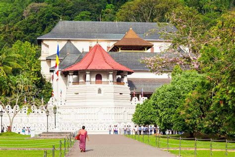 Discover Enchanting Kandy Irresistible Reasons To Explore