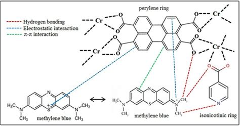 possible interactions between methylene blue and cr ptc hina