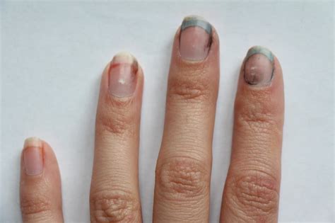 The Game Astronaut Pussy Welcome To California Lyrics Genius Lyrics