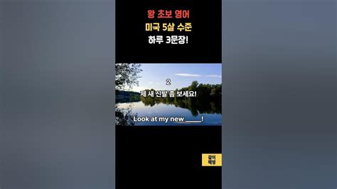 31 왕 초보 영어 5살 수준 영어 하루 3문장 영어공부 영어회화 왕초보영어 Youtube