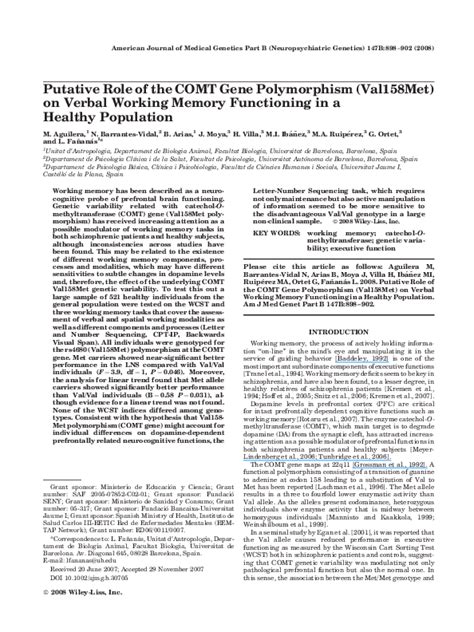 Pdf Putative Role Of The Comt Gene Polymorphism Val158met On Verbal Working Memory