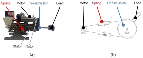 Elastic Actuators At Heather Richards Blog