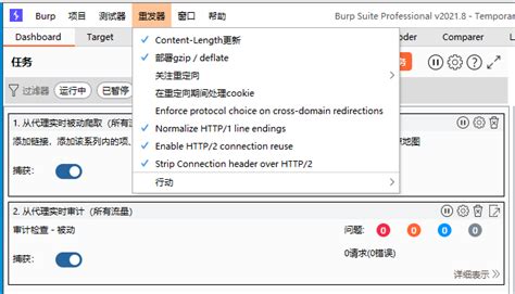 Github Colgatorburpsuiteproinstall Burpsuitepro Install 安装