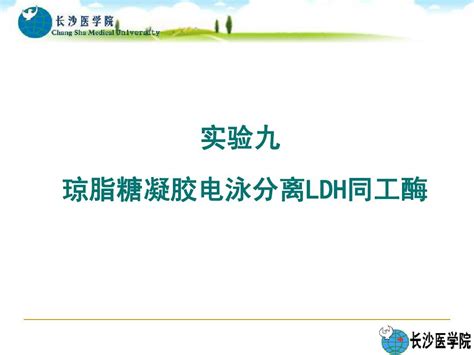 修改版琼脂糖电泳检测ldh同工酶文档之家
