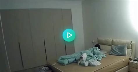 Paranormal Cativity Album On Imgur