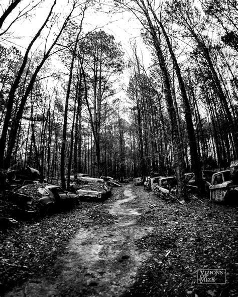 Jeri Mize Vizionsofmizellc • Instagram Photos And Videos