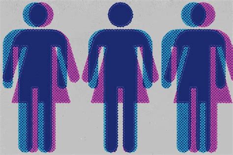Gender Identification And Staff Stephen Rimmer LLP