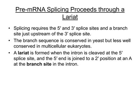 Steps For Rna Processing In General Ppt