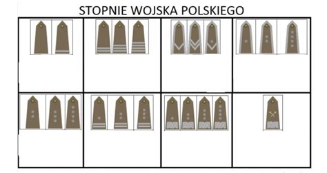 Stopnie Wojskowe Cz 1 Diagram Quizlet