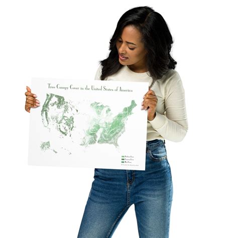 United States Tree Cover Map Poster Etsy