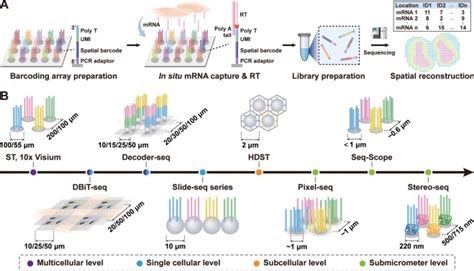 Next Generation Sequencing Based Spatial Transcriptomics A Perspective