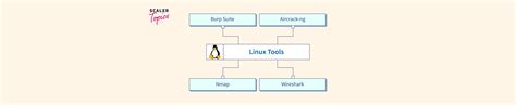 Top Kali Linux Tools For 2023 Scaler Topics