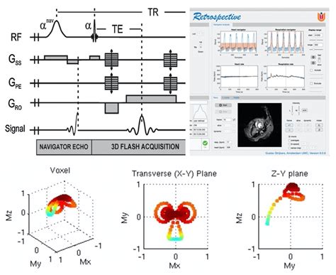 Preclinical And Translational Mri Biomedical Engineering And Physics