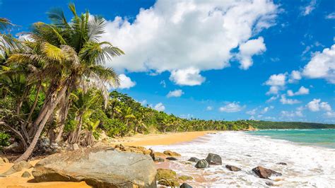 Exotic Carribean Shore Of Flamenco Beach On The Caribbean Island Of